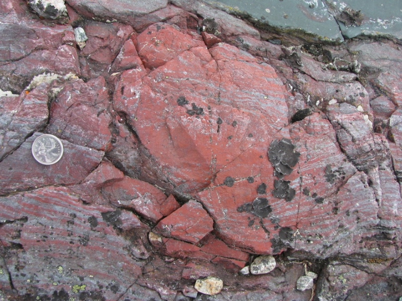 Complex life on Earth may be much older than we thought