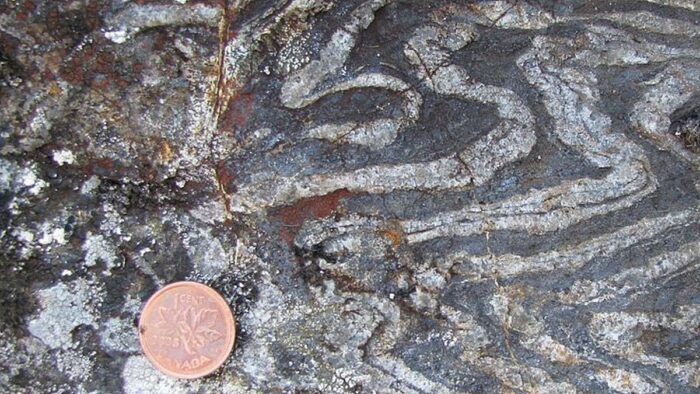 Complex life on Earth may be much older than we thought