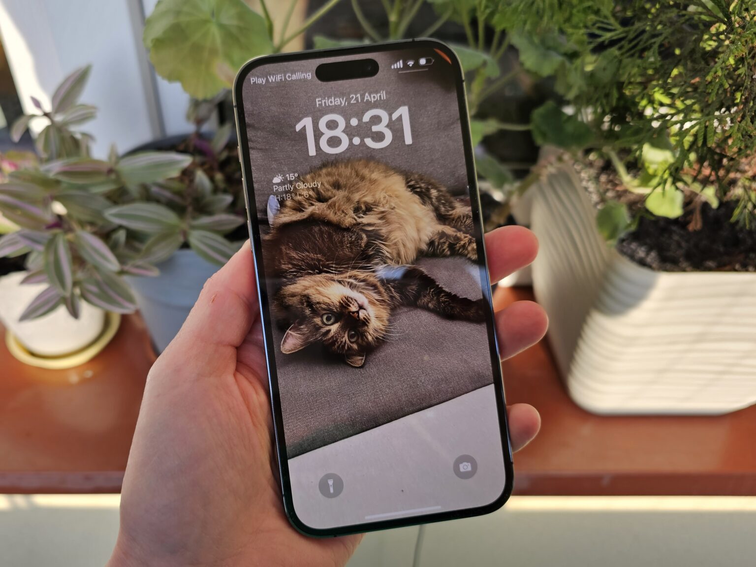 The iPhone 16 Pro Max will feature a larger display according to ...