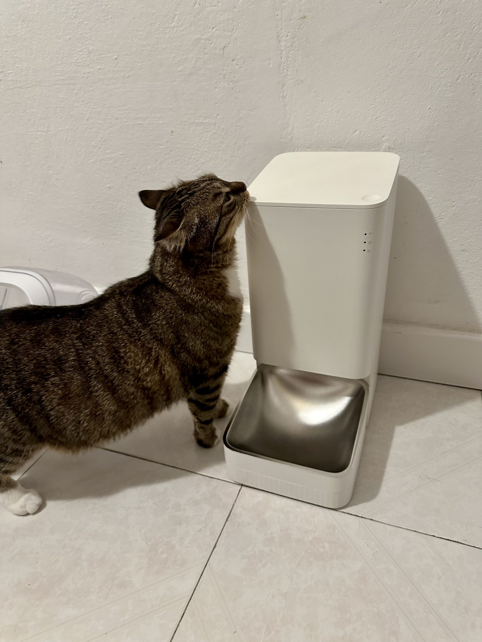 Xiaomi Smart Pet Feeder review - Root-Nation.com
