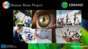 Human Brain Project: Attempt to imitate the human brain - Root-Nation.com